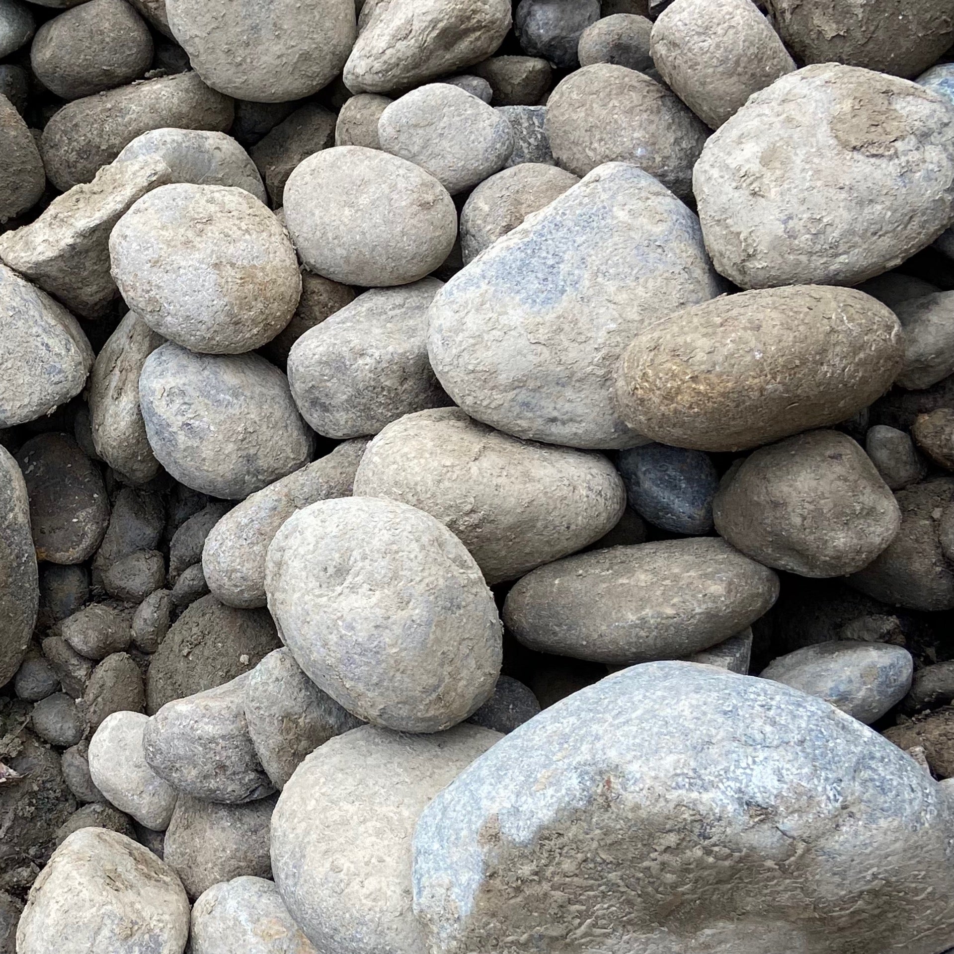 5 Gallon Bucket Of River Rock 3\4"-8" | Olympic Rockery & Landscape ...