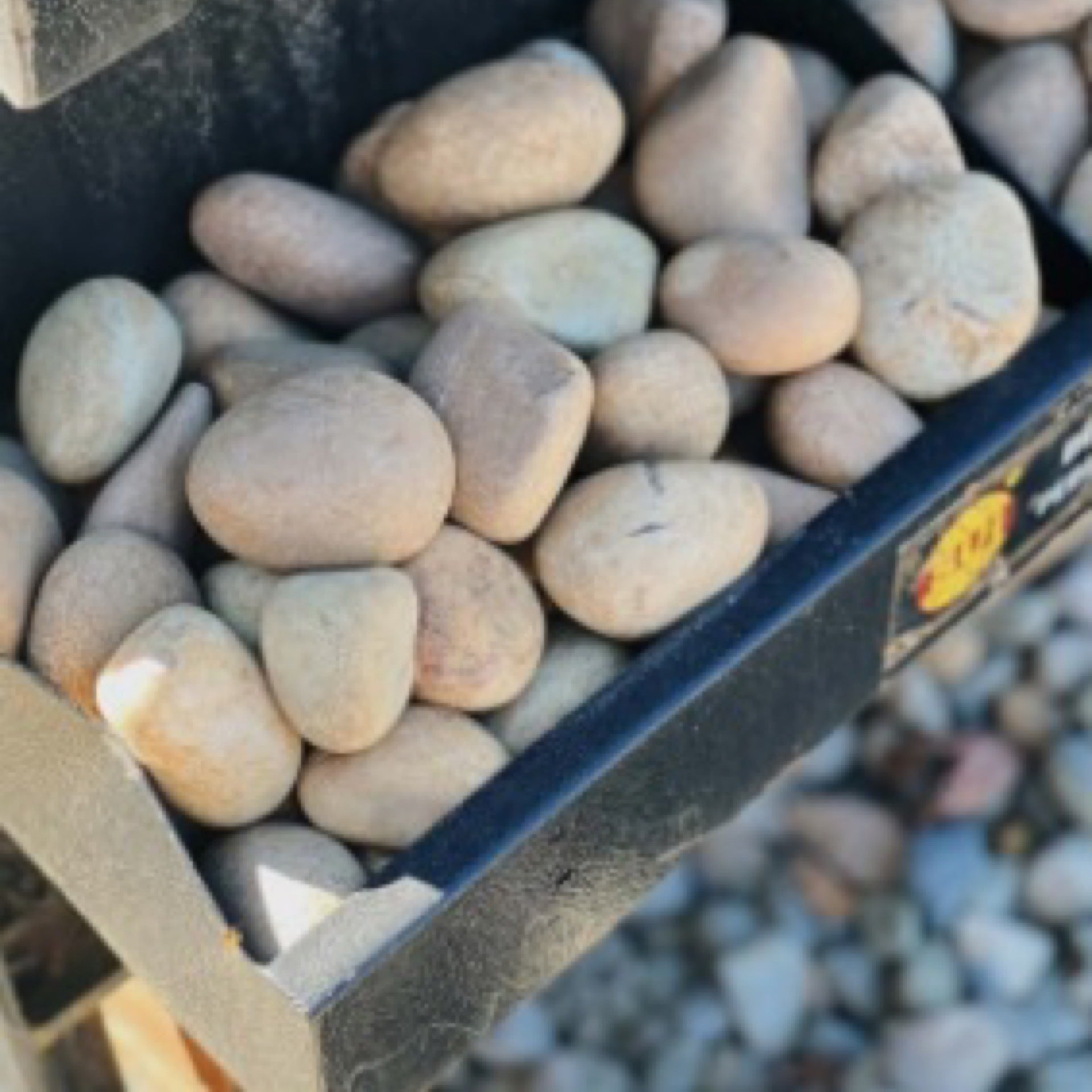 Beige (Sandstone) Decorative Pebbles (40lbs) | Olympic Rockery ...